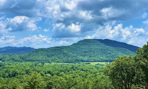 Best Hikes and Trails in Lone Mountain State Forest | AllTrails