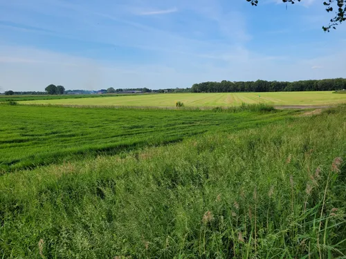 Best Hikes and Trails in Son en Breugel | AllTrails