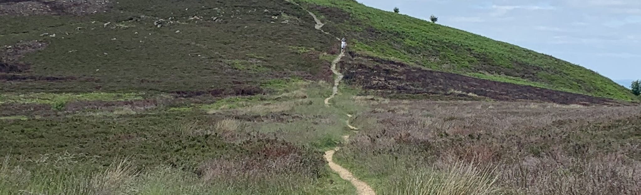 Carlton Bank, Live Moor and Facby Plantation Circular: 51 Reviews, Map ...