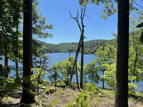 Best Hikes and Trails in Berry College Nature Preserve | AllTrails