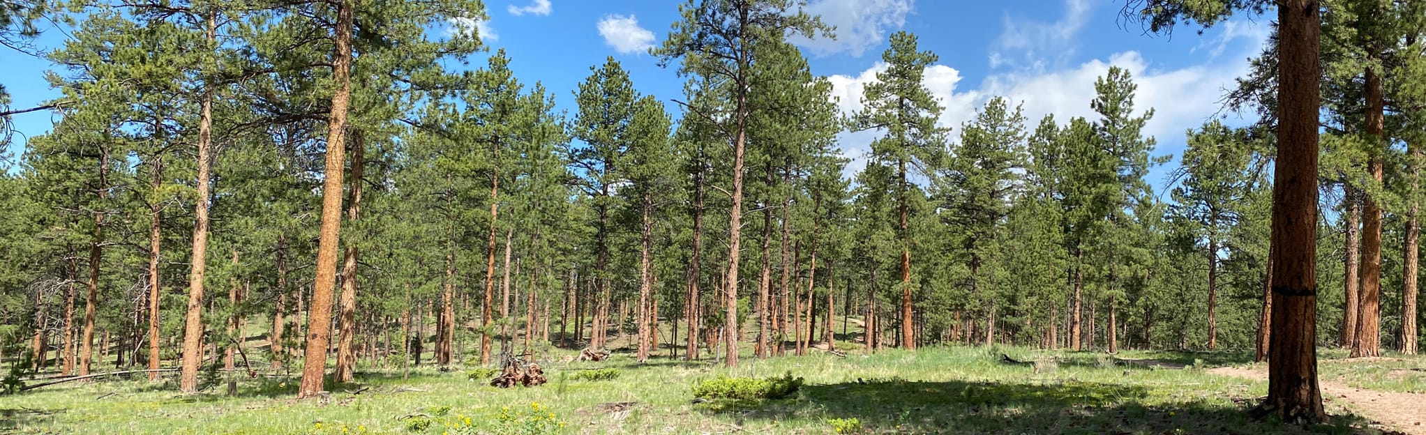 Red Rocks Campground Loop, Colorado - 64 Reviews, Map | AllTrails