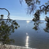 Lake Weyba Forest Loop, Queensland, Australia - 38 Reviews, Map | AllTrails