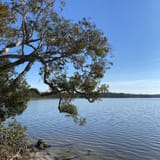 Lake Weyba Forest Loop, Queensland, Australia - 38 Reviews, Map | AllTrails