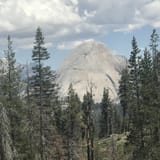 Mono Meadow Trail, California - 90 Reviews, Map | AllTrails