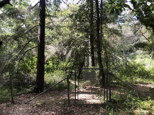 10 Best Trails and Hikes in Woodside | AllTrails