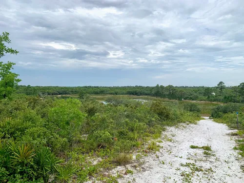 Best Hikes and Trails in Allen David Broussard Catfish Creek Preserve ...