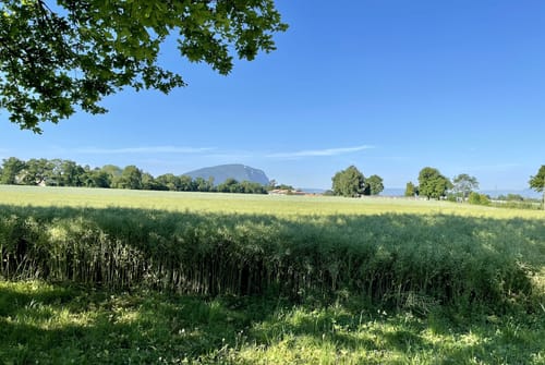 Best 10 Trails and Hikes in Geneva | AllTrails