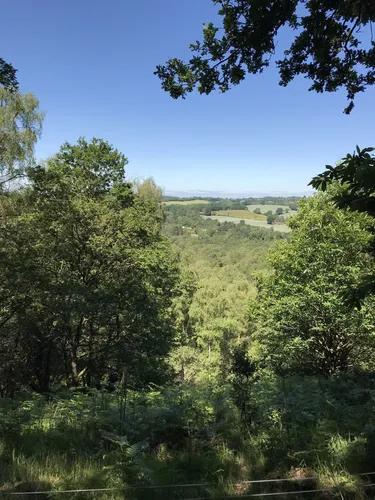 Best Hikes and Trails in Kingsford Forest Park | AllTrails