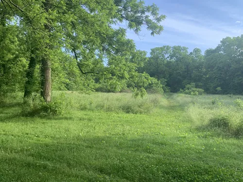 Best Hikes and Trails in Fort Crowder Conservation Area | AllTrails