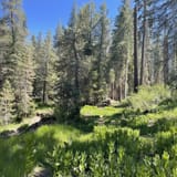 Tamarack Creek Trail, California - 22 Reviews, Map | AllTrails