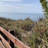 Shell Beach Bluff Trail, California - 127 Reviews, Map | AllTrails