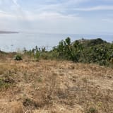 Shell Beach Bluff Trail, California - 127 Reviews, Map | AllTrails