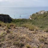 Shell Beach Bluff Trail, California - 127 Reviews, Map | AllTrails