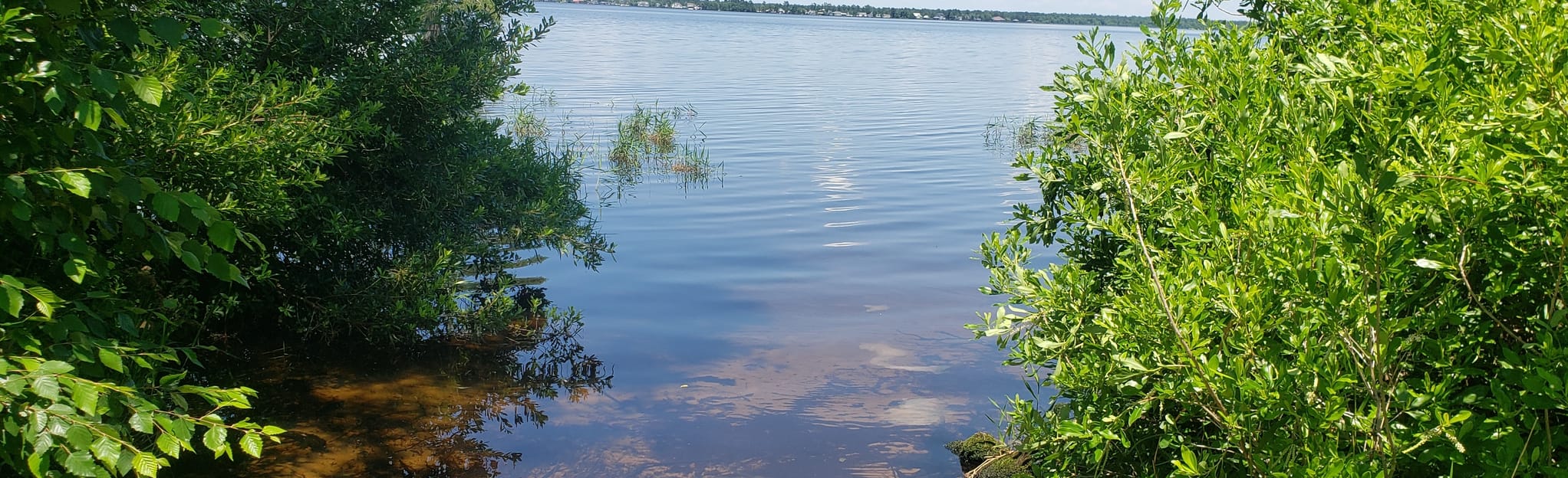 Baytree Lake Trail: 13 Reviews, Map - North Carolina | AllTrails