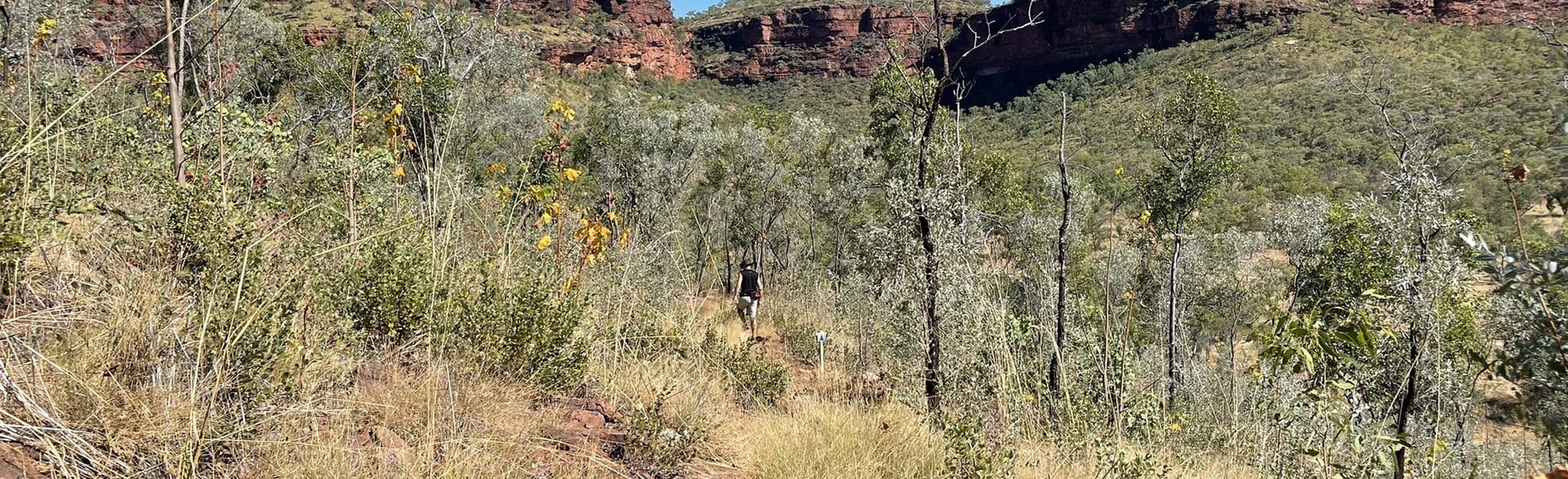 Victoria River Escarpment Trail Lookout via Escarpment Walk: 16 Fotos ...