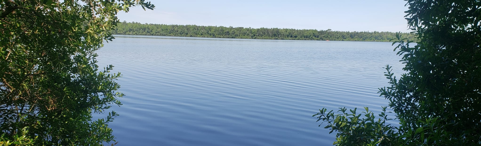 Cedar Loop Trail, North Carolina - 35 Reviews, Map | AllTrails