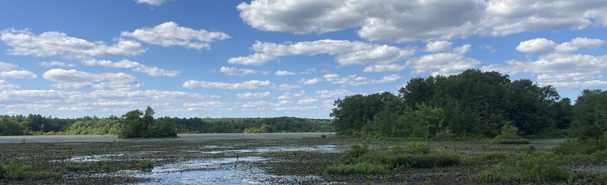 Borderland State Park Loop Trail, Massachusetts - 1,136 Reviews, Map ...