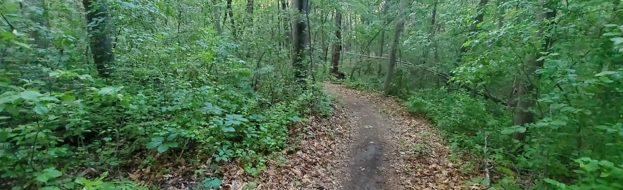 Hillside Park Trail, Minnesota - 261 Reviews, Map | AllTrails