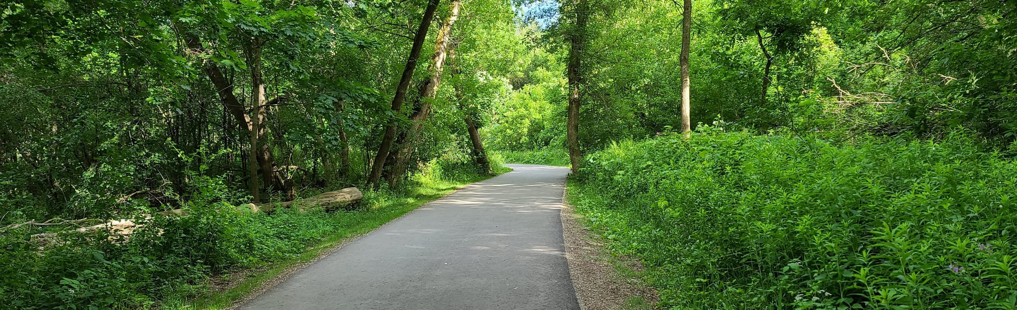Rouge Valley Forest Therapy Trail: 368 Reviews, Map - Ontario, Canada ...