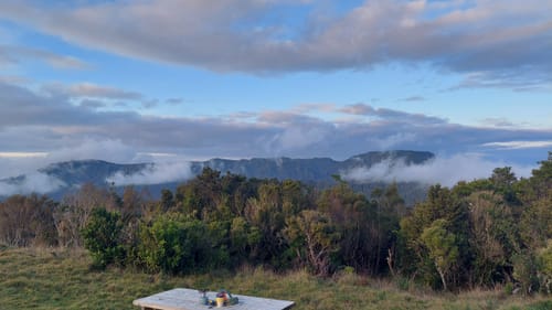 2023 Best Backpacking Trails in Coromandel Forest Park | AllTrails