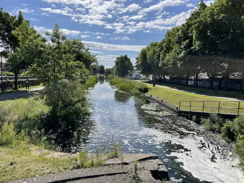 Best Trail Running Trails in Phoenix Park | AllTrails