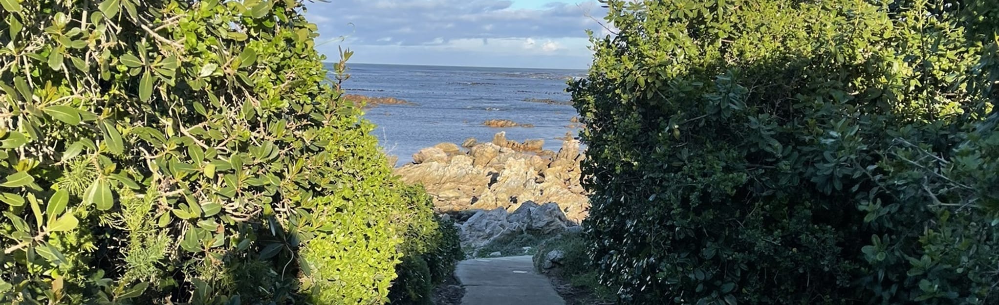 Onrus Walk, Western Cape, South Africa - 56 Reviews, Map | AllTrails