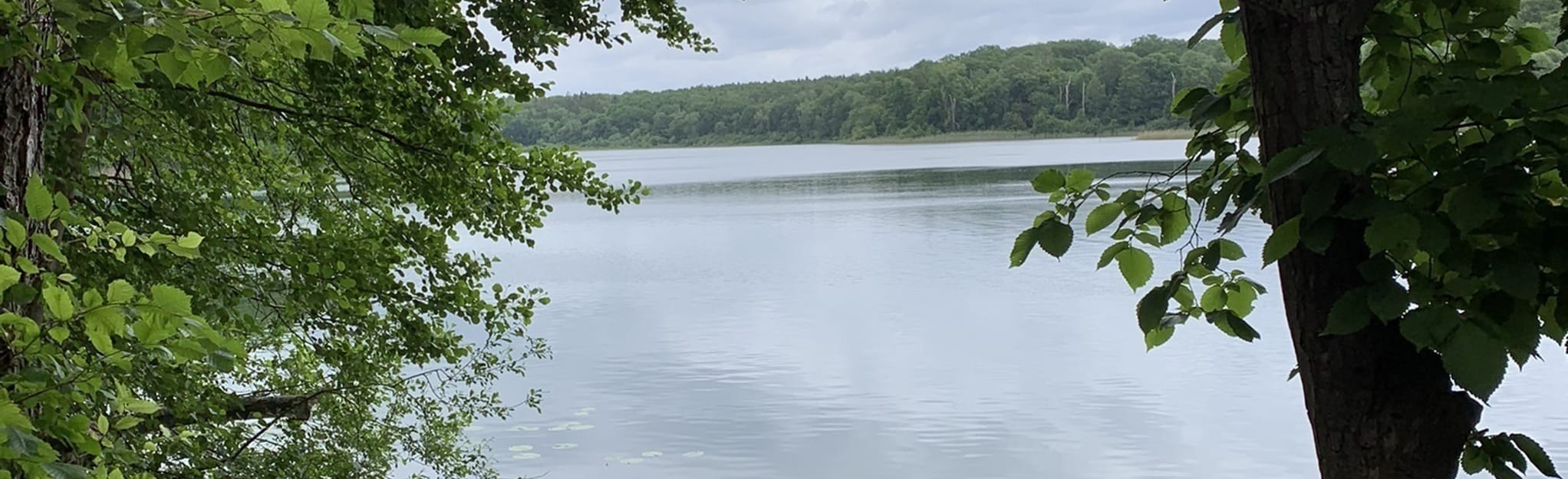 Sacrower Lake Loop: 47 foto's - Berlin, Duitsland | Wandelen - AllTrails