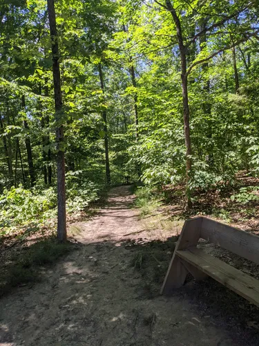 Best Hikes and Trails in Paynetown State Recreation Area | AllTrails