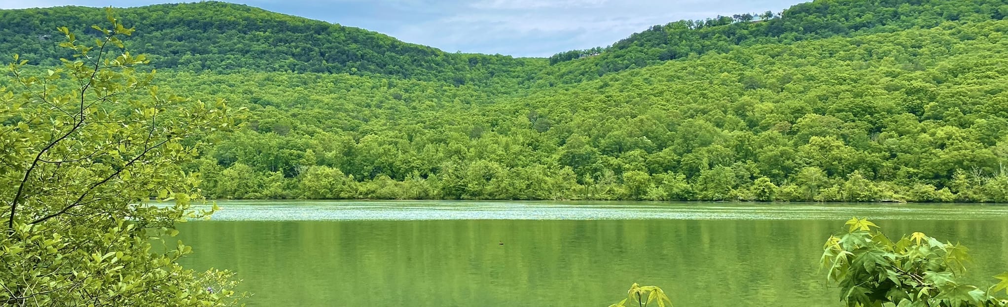 Pot Point Nature Trail, Tennessee - 143 Reviews, Map | AllTrails