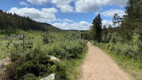 10 Best Walking Trails in Rothbury | AllTrails