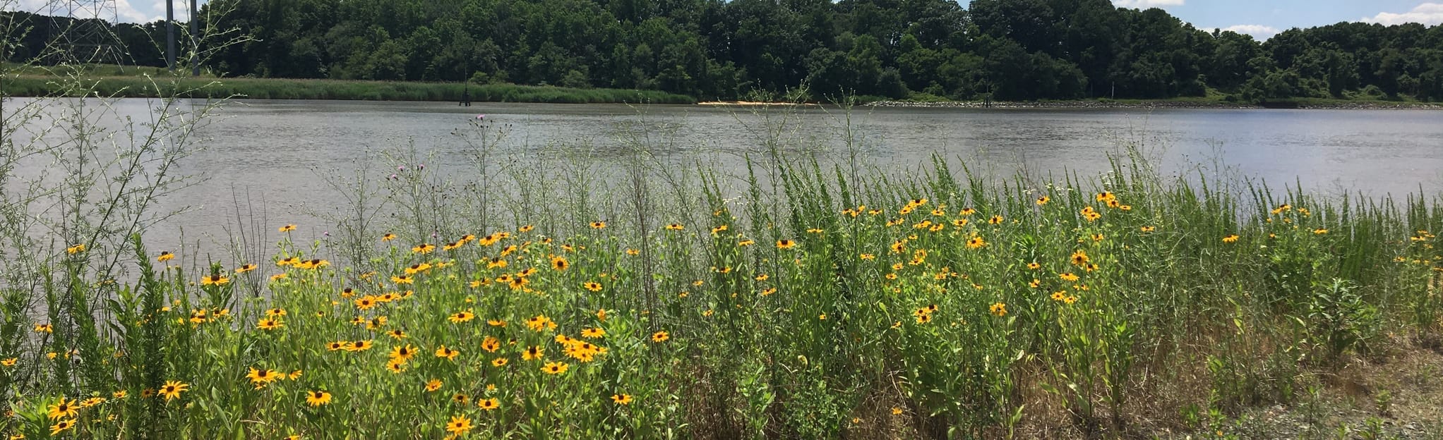 Michael Castle Trail & Delaware City Branch Canal Trail, Delaware - 218 ...