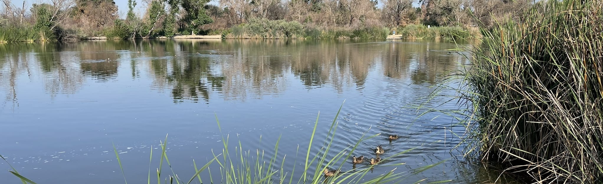 Sepulveda Nature Walk, California - 488 Reviews, Map | AllTrails