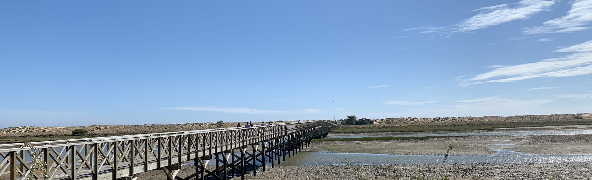 Quinta do Lago trail, Faro, Portugal - 41 Reviews, Map | AllTrails