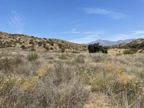 10 Best Trails and Hikes in Redlands | AllTrails