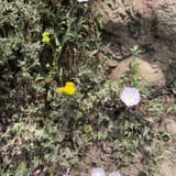 Ragged Point Inn Trail, California - 163 Reviews, Map | AllTrails