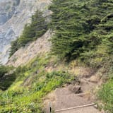 Ragged Point Inn Trail, California - 163 Reviews, Map | AllTrails