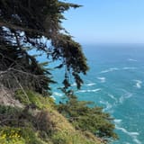 Ragged Point Inn Trail, California - 163 Reviews, Map | AllTrails