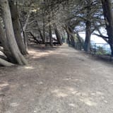 Ragged Point Inn Trail, California - 163 Reviews, Map | AllTrails