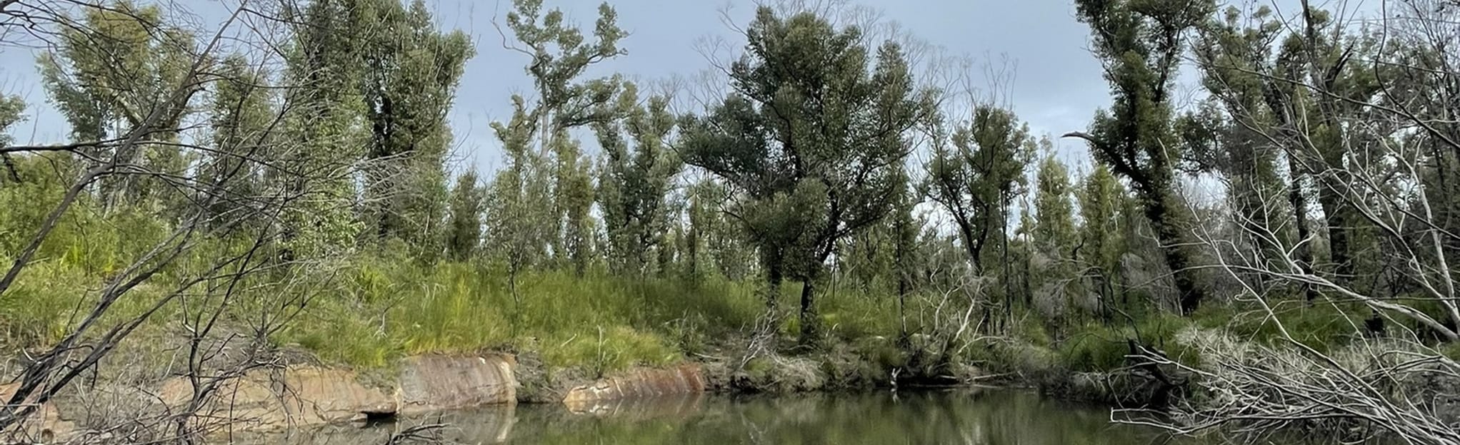 Berrara Waterholes Bushwalking Loop, New South Wales, Australia - 9 ...