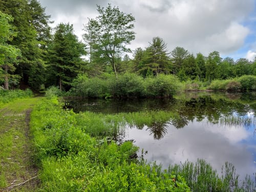 Best 10 Hikes and Trails in Quabbin Reservoir | AllTrails