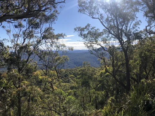 Best Hikes and Trails in Mount Royal National Park | AllTrails