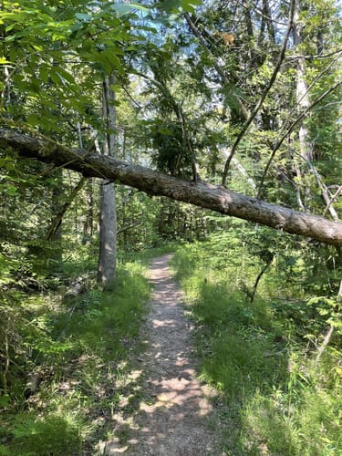 Best Hikes and Trails in Teichner Preserve | AllTrails