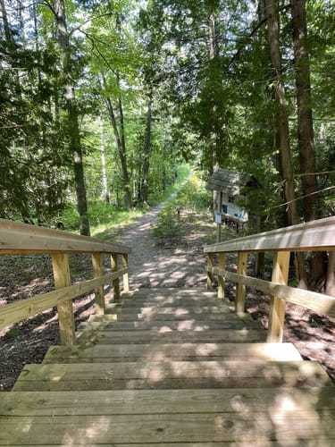 Best Hikes and Trails in Teichner Preserve | AllTrails