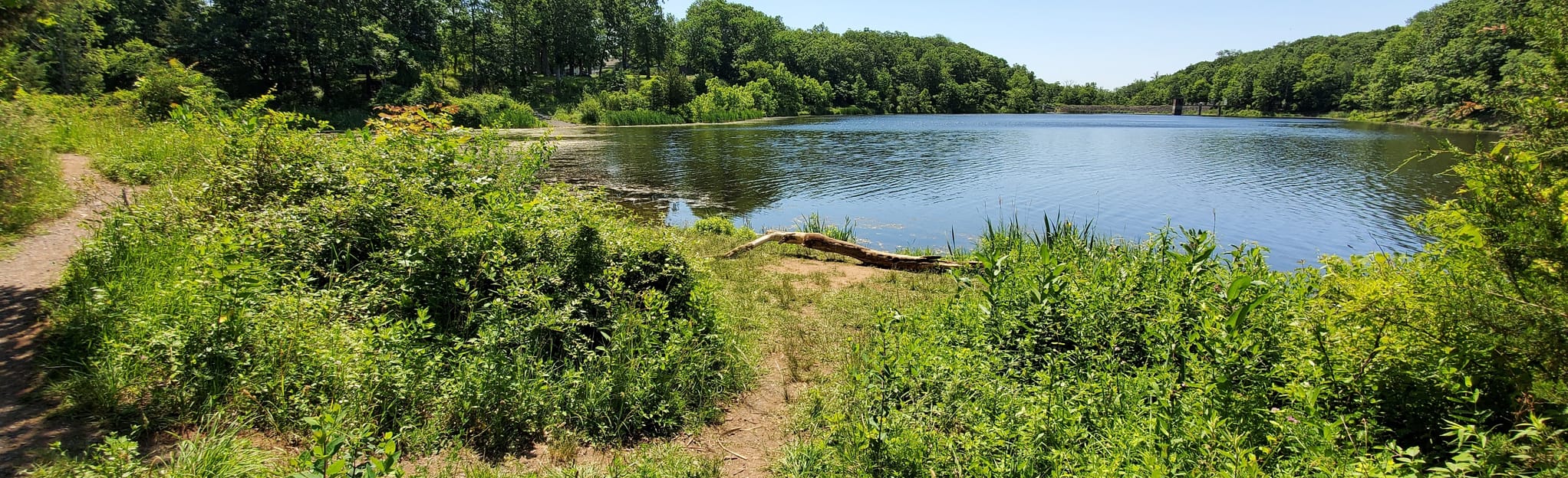 Washington Valley Park Trail, New Jersey - 671 Reviews, Map | AllTrails