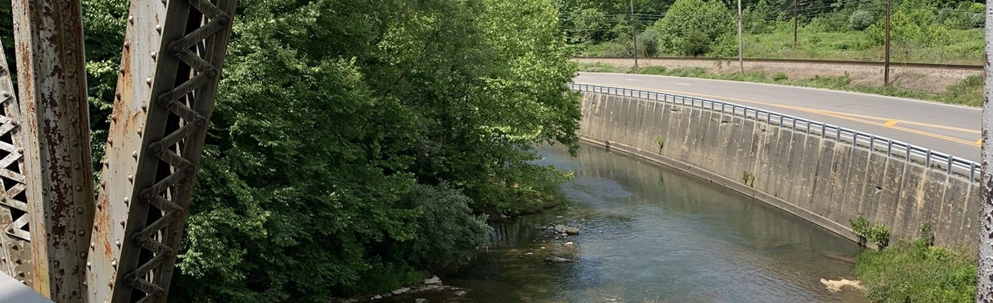 Powell River Trail, Virginia - 70 Reviews, Map | AllTrails