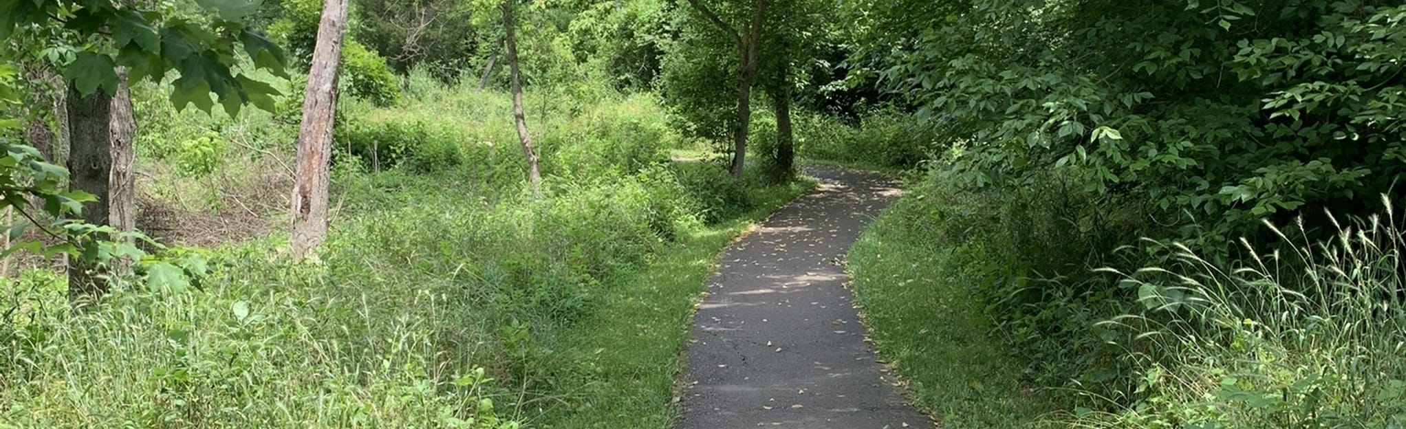 Hidden Valley Sports Complex Trail: 30 Reviews, Map - Indiana | AllTrails