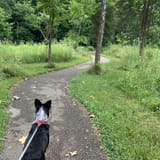 Hidden Valley Sports Complex Trail, Indiana - 45 Reviews, Map | AllTrails
