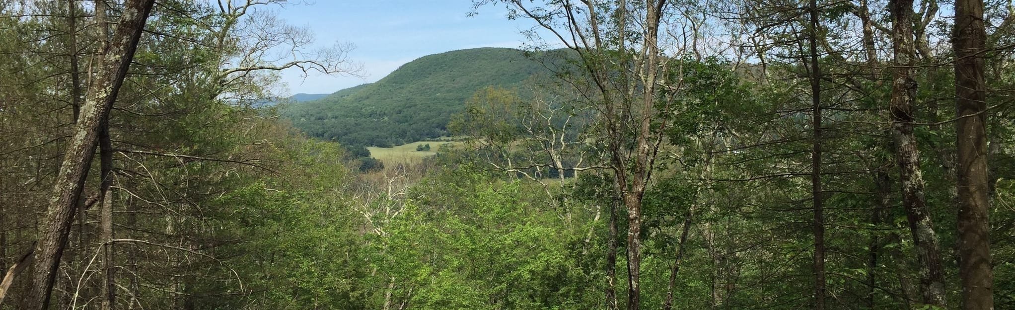 Father and Mother Loop, Massachusetts - 102 Reviews, Map | AllTrails