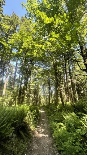 2023 Best 10 Trails and Hikes in Issaquah | AllTrails