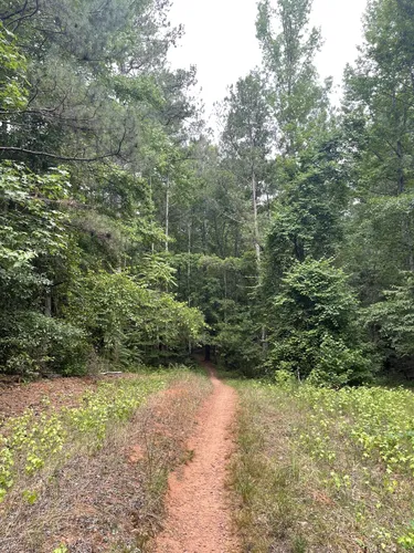 Best Hikes and Trails in Dauset Trails Nature Center | AllTrails